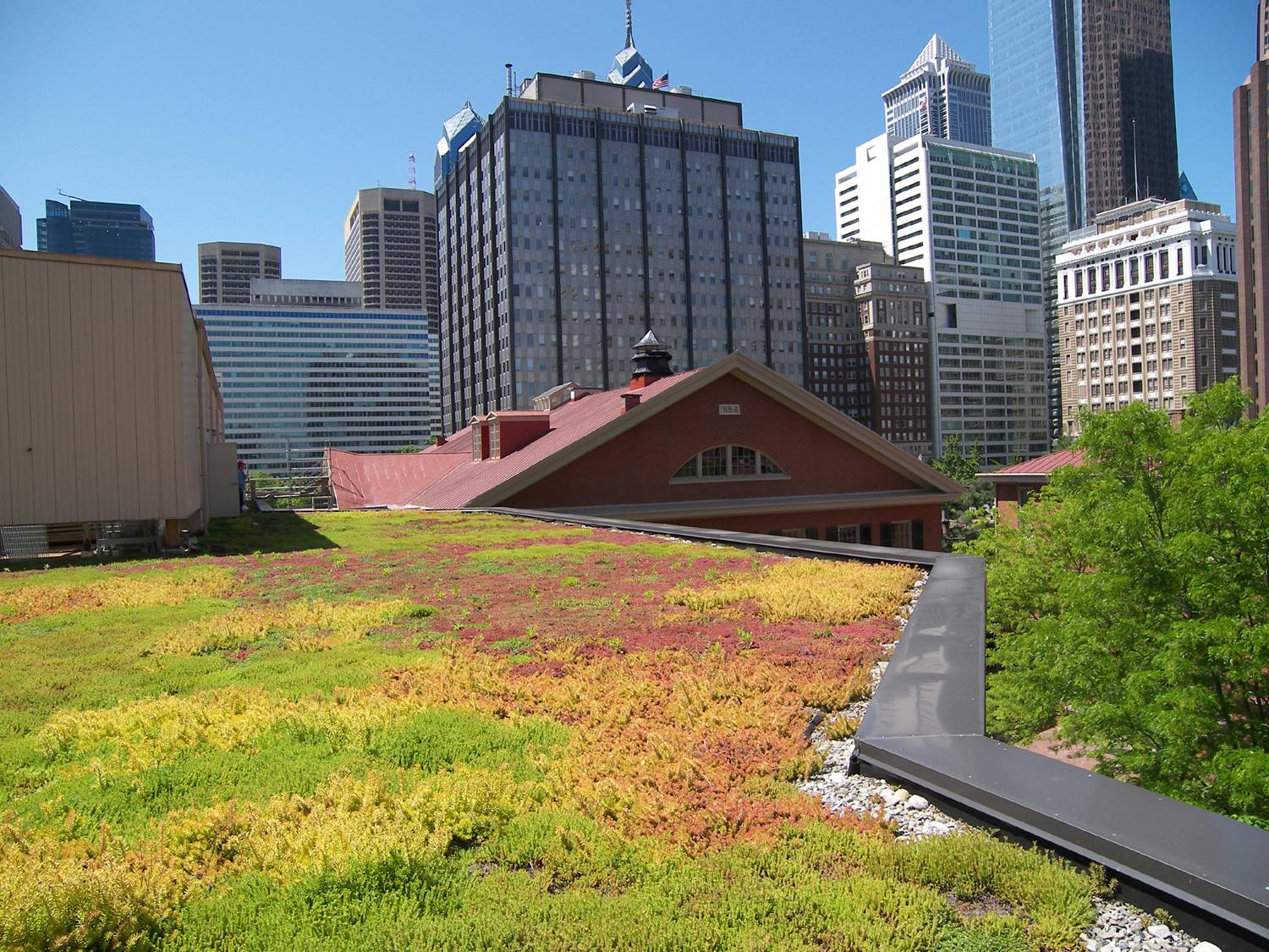 Green roof mature – Friends Center